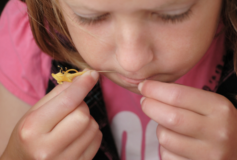 Honeysuckle: Benefits and Uses – Greenshield Organic