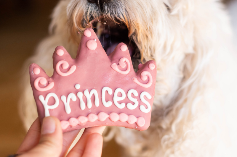 Organic Iced Dog Cookies – Greenshield Organic